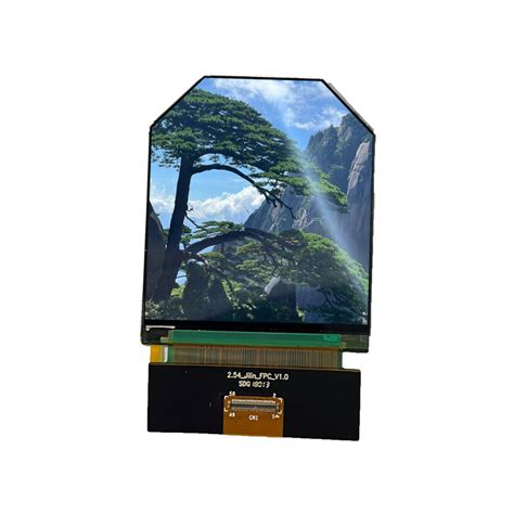 2 54 Inch 1440 1600 Resolution High Definition IPS TFT LCD Display Lcd Display Lcd Module Lcd