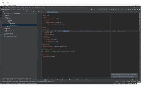 【毕业设计】仿百度网盘项目开源启动演示 Hanaue Hanaue 哔哩哔哩视频