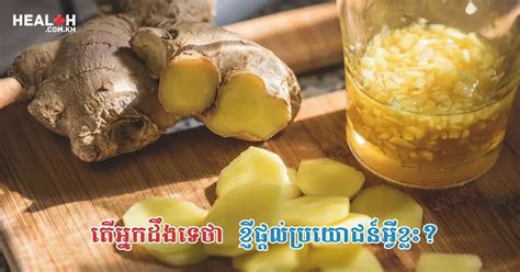 សារសំខាន់ របស់ ខ្ញី ចំពោះសុខភាព