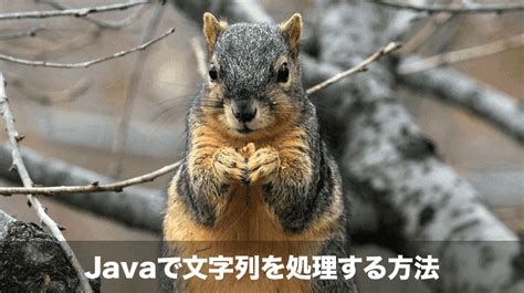 初心者向けJavaでの文字列の処理方法とは 扱い方まとめ