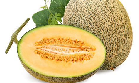 Differences Between Rockmelon And Honeydew Texture Flavor And Appearance