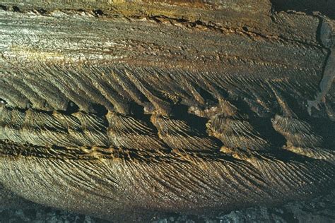 Birth Of Lava Tubes National Speleological Society