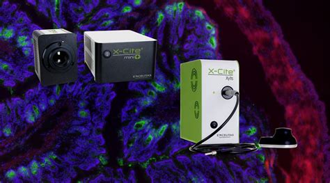 Accu Scope Becomes Master Distributor For X Cite Accu Scope
