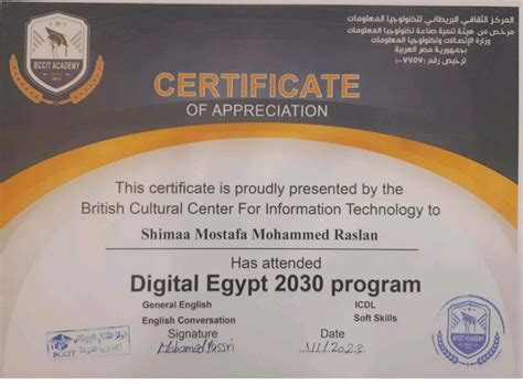 Shimaa Mostafa Posted On Linkedin