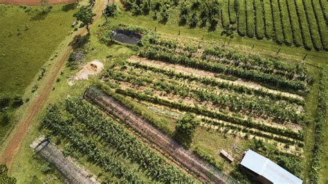 Granja La Lechuza La Propuesta De Agroturismo En Oberá Destinada A