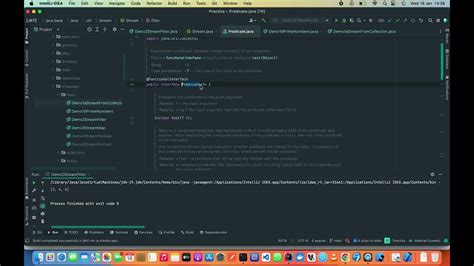 Stream Api Part 4 Filter Predicate Intpredicate Youtube