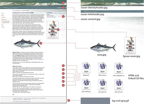 Site File Structure Web Style Guide