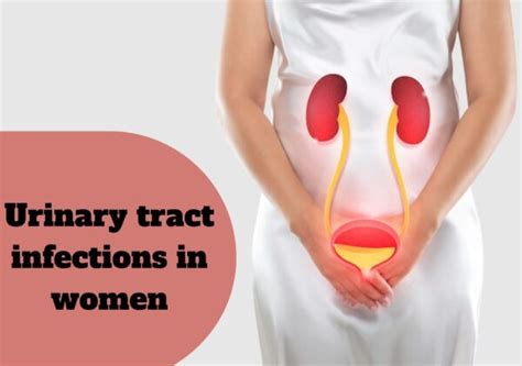 Symptoms Of Urinary Tract Infections In Women Urolife