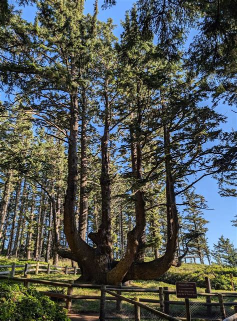 7 Cant Miss Attractions In Tillamook Oregon That Make This Small Town