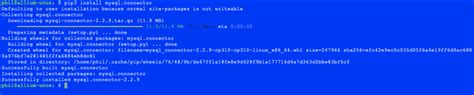 python and mariadb database programming part two