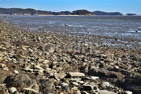 선재도 목섬 서해 바다 인천 사진 이미지 일러스트 캘리그라피 Deep Blue작가