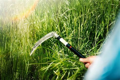 Premium Photo Person With Scythe Trimming Grass In Sunny Day Sickle