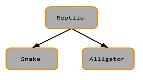 C Tutorial Inheritance Youtube