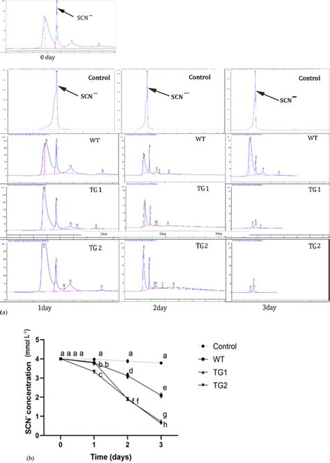 Residue Analysis Of Guanidine Thiocyanate By Hplc Wt And Transgenic Download Scientific