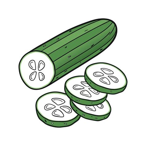 Tasty Cucumber Sticks Quick Treat 57692636 Vector Art At Vecteezy