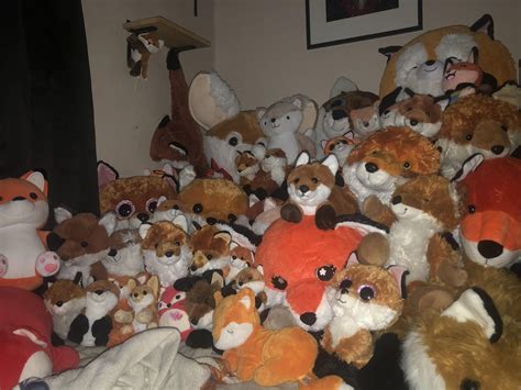 My Fox Plushie Collection Rplushies