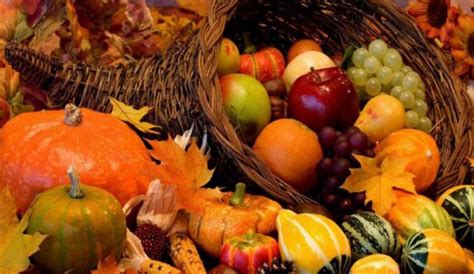 Fructe Si Legume Toamna Sănătatea Buzoiană