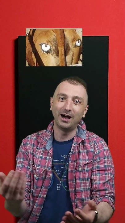 ტრაკზე თვალები Shortvideo Youtube