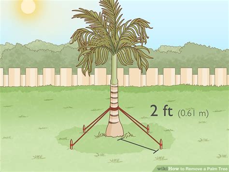 3 Ways To Remove A Palm Tree WikiHow