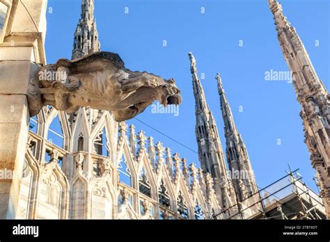 Detail From Milan Duomo Rooftop Elaborate Gargoyle Sculpture As Seen