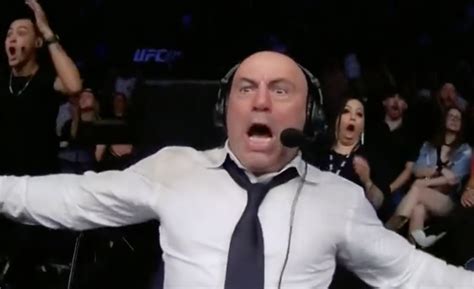 Joe Rogan Ufc Fight