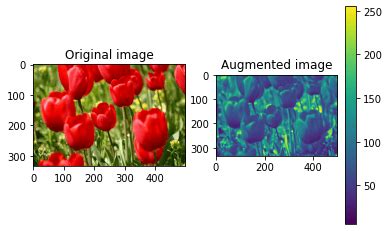 Top Data Augmentation Techniques Ultimate Guide For