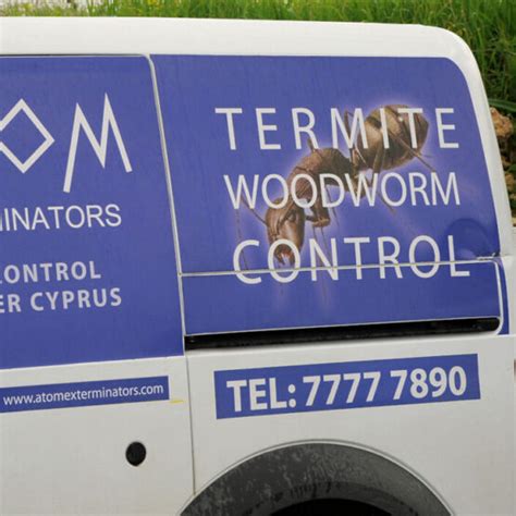 Termite Detection And Treatment Atom Exterminators Cyprus Pest Control