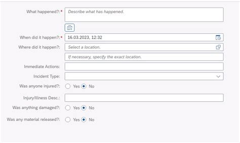 Solved No Mandatory Field Asterisk On Report Incident For SAP Community