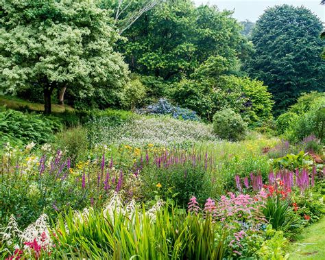 Bog Gardens Expert Advice On How And Where To Create One Gardeningetc