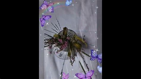 ඒ තමයි දරුවන්ට දැණුනු සෙනෙහස ඔබේ 👍👍💛🥰 Youtube