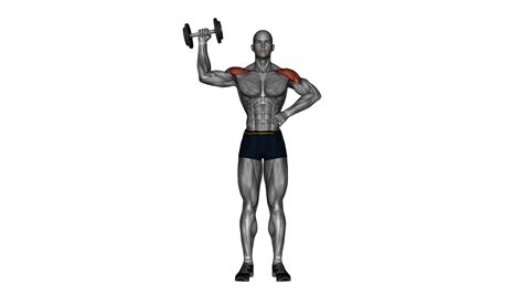 Mastering Dumbbell Upright Shoulder External Rotation A Beginners Guide 1000 Free Workouts