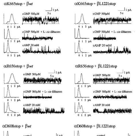 Examples Of Unitary Cgmp And Camp Induced Currents For Control