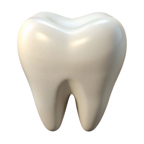 Standout Traditional A Single Realistic Human Tooth No Background