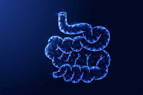 Mesh Hernia Repair Which Mesh Is Best To Use