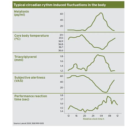Biorhythm Definition Origin Chart Video OFF