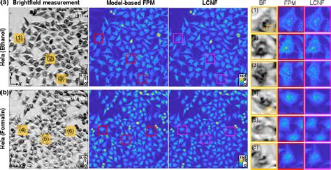 Figure 2 From Local Conditional Neural Fields For Versatile And Generalizable Large Scale