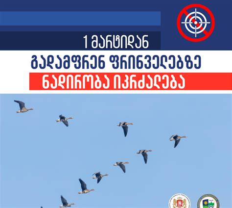 1 ელი მარტიდან გადამფრენ ფრინველებზე ნადირობა აკრძალულია