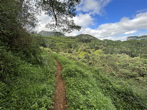 Hiking The Kuilau Ridge Trail On Kauaʻi — Noahawaii