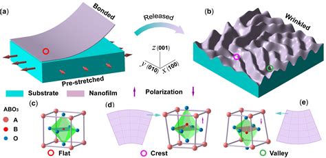 西安交通大学力化学耦合与智能介质实验室在力学褶皱诱导挠曲电效应调控纳米薄膜极化拓扑结构方面取得新进展 西安交通大学航天航空学院