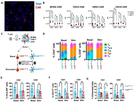 单细胞测序揭秘car密度如何影响car T细胞抗肿瘤效果 知乎