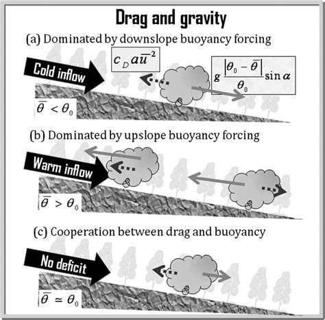 The Illustration Of Force Directions Of Gravity Buoyancy And Drag Download Scientific Diagram