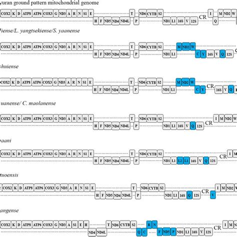 batch loading diagram nbc handle large dataset by load a batch subset