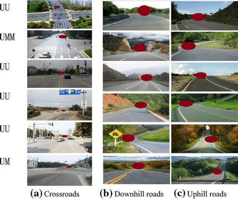 Vp Detection Under Complex Road Conditions Download Scientific Diagram
