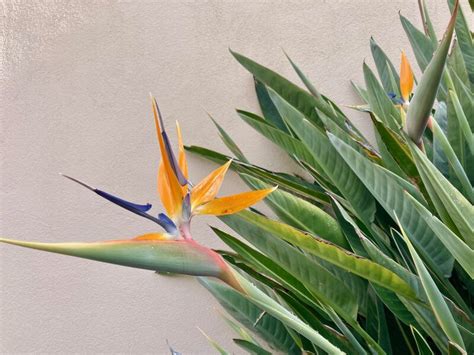 Markkula Center For Applied Ethics On Linkedin Certainly Here Is A