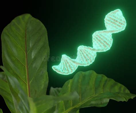 Illuminated Strands Stock Illustrations 126 Illuminated Strands Stock Illustrations Vectors