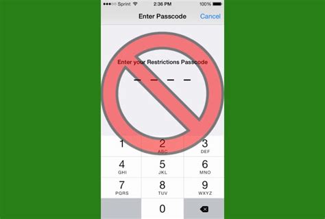 Crack Your Ios 7 Or 8 Restrictions Passcode By Rafilerman Fiverr