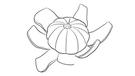 剥皮橘子简笔画 橘子简笔画 剥皮香蕉简笔画 大山谷图库