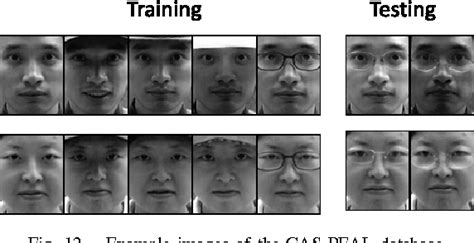 Figure 12 From Robust Face Recognition With Structurally Incoherent Low