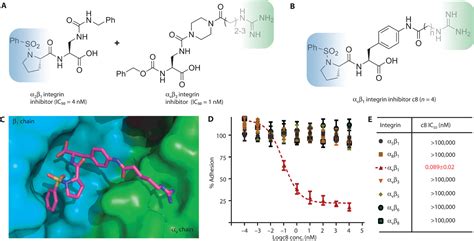 The αvβ1 Integrin Plays A Critical In Vivo Role In Tissue Fibrosis Science Translational Medicine