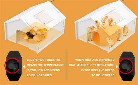 Brooder Box For Chicks Brooder Heater Poultry Heater